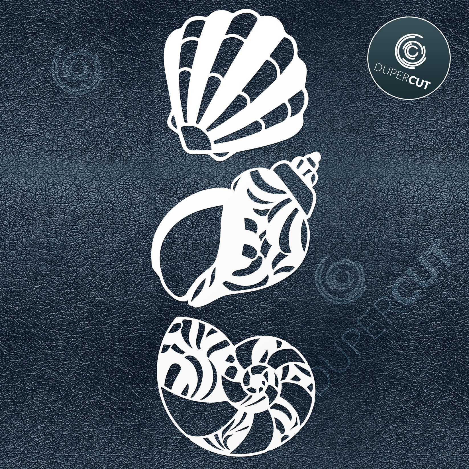 3 Designs - SEASHELLS - SVG / PDF / DXF – DuperCut